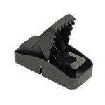 Catchmaster Easy-Set Mouse Traps | The X-Terminators